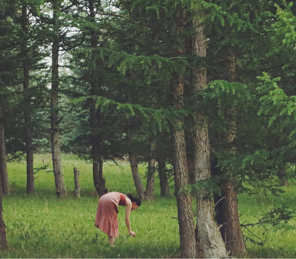 Dysbiosis Explained: Causes, Treatments and More