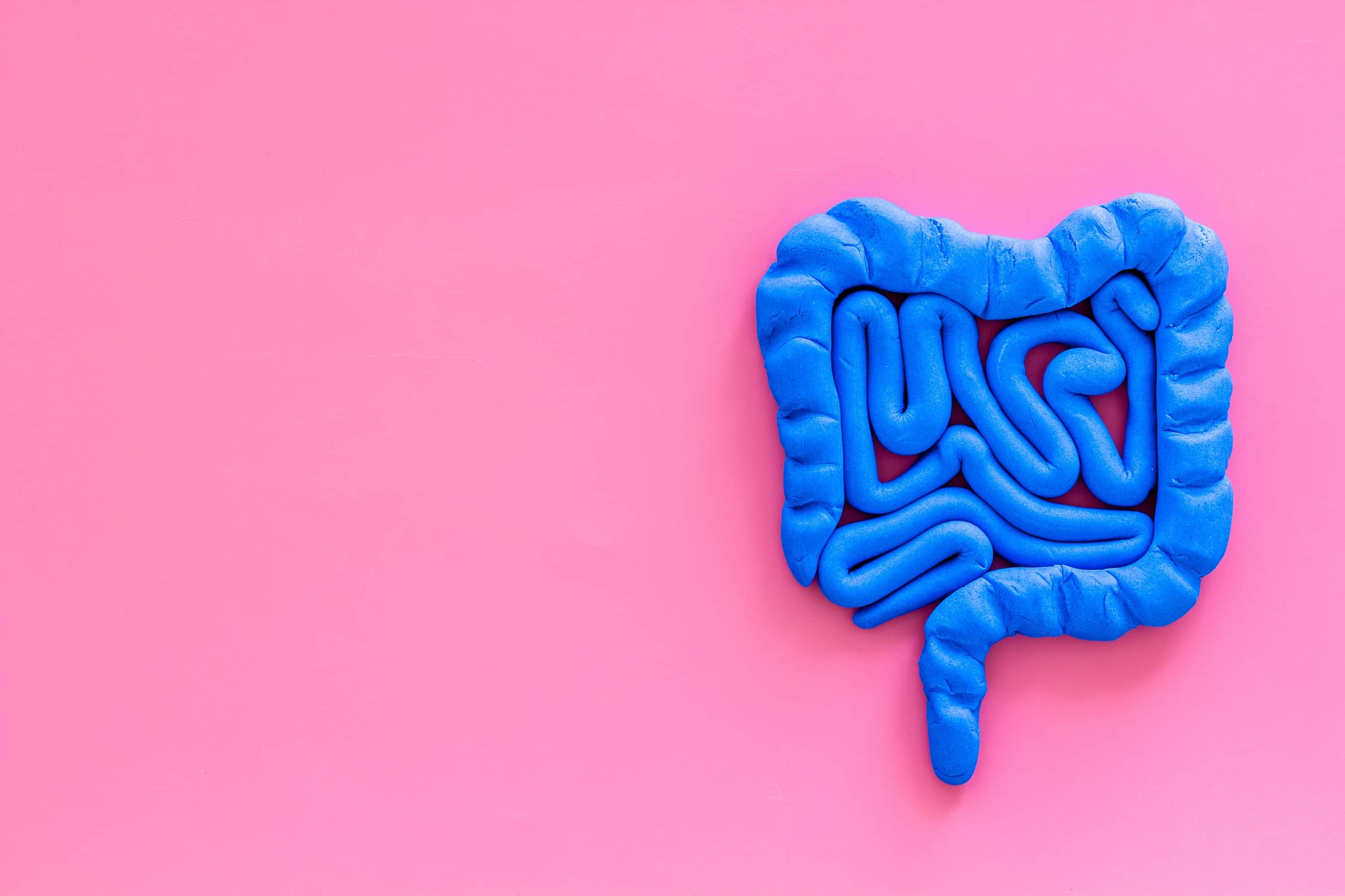 Back to basics: 5 things you need to know about your gut